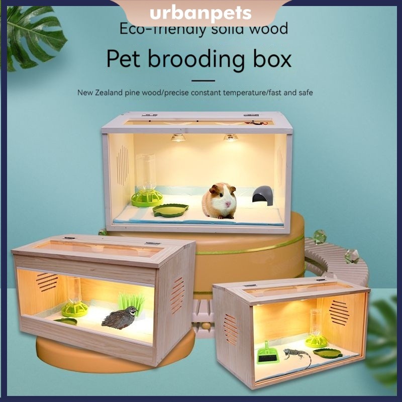 Rutin Chicken Rearranger, Duckling, Brooding, Parrot, Cockatiel, Young ...