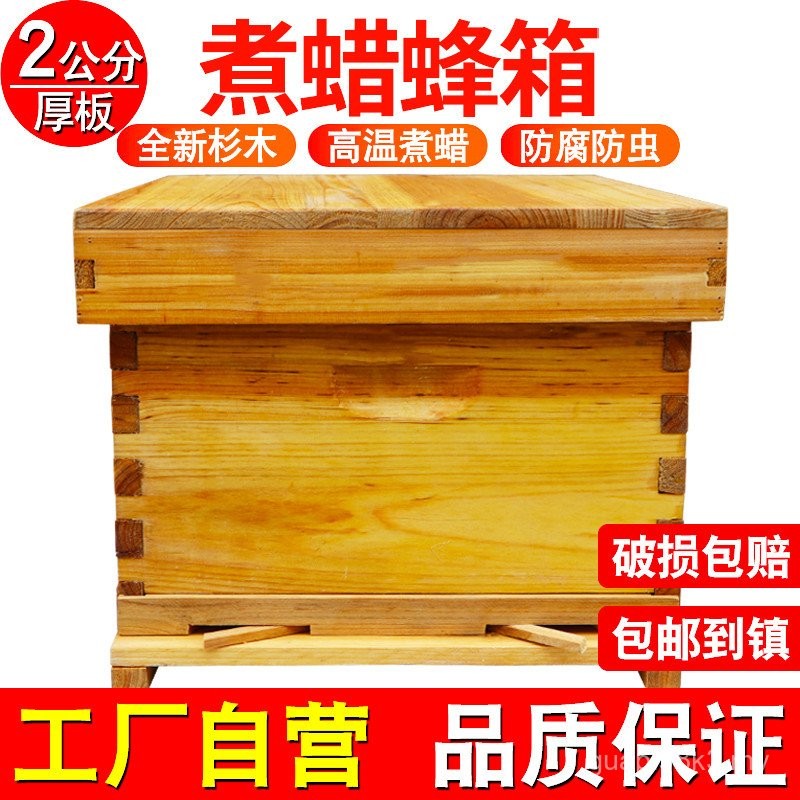 Medium Bee Beehive Full Set Bee Temptation Beehive Ten Frame Seven ...
