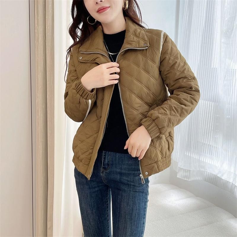 Down Cotton-padded Clothes Women's Winter New Stand-up Neck Cotton ...
