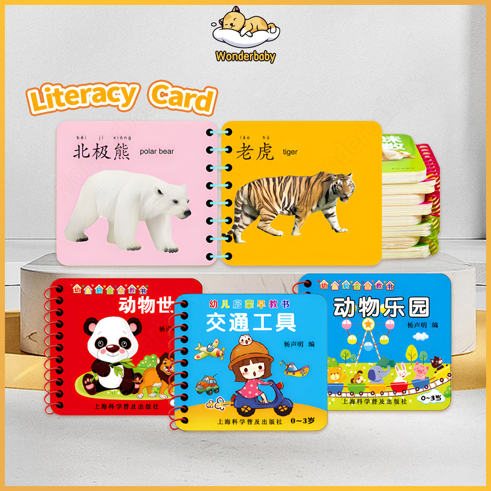 Wonderbaby Early Learning Flash Card for Kids Educational Cognitive ...