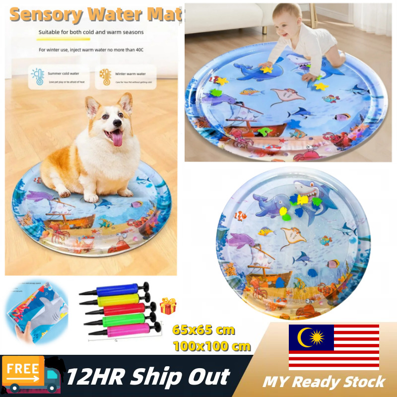 (Local Shipment) Water Sensory Play Mat for Cat Dog Thickened ...