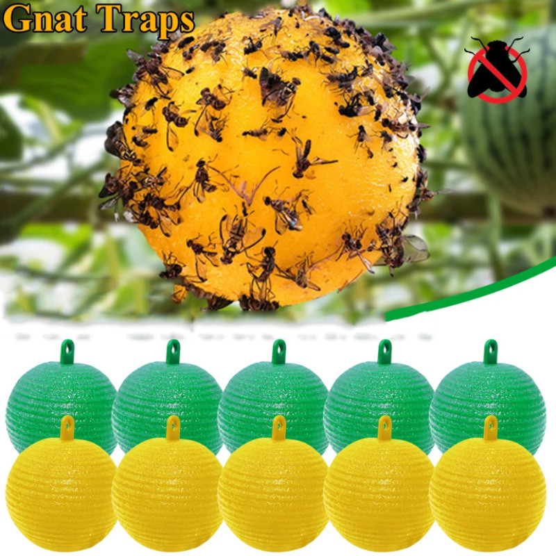 Super Sticky Hanging Trap Ball Fruit Flies Insect Catcher | Bola ...