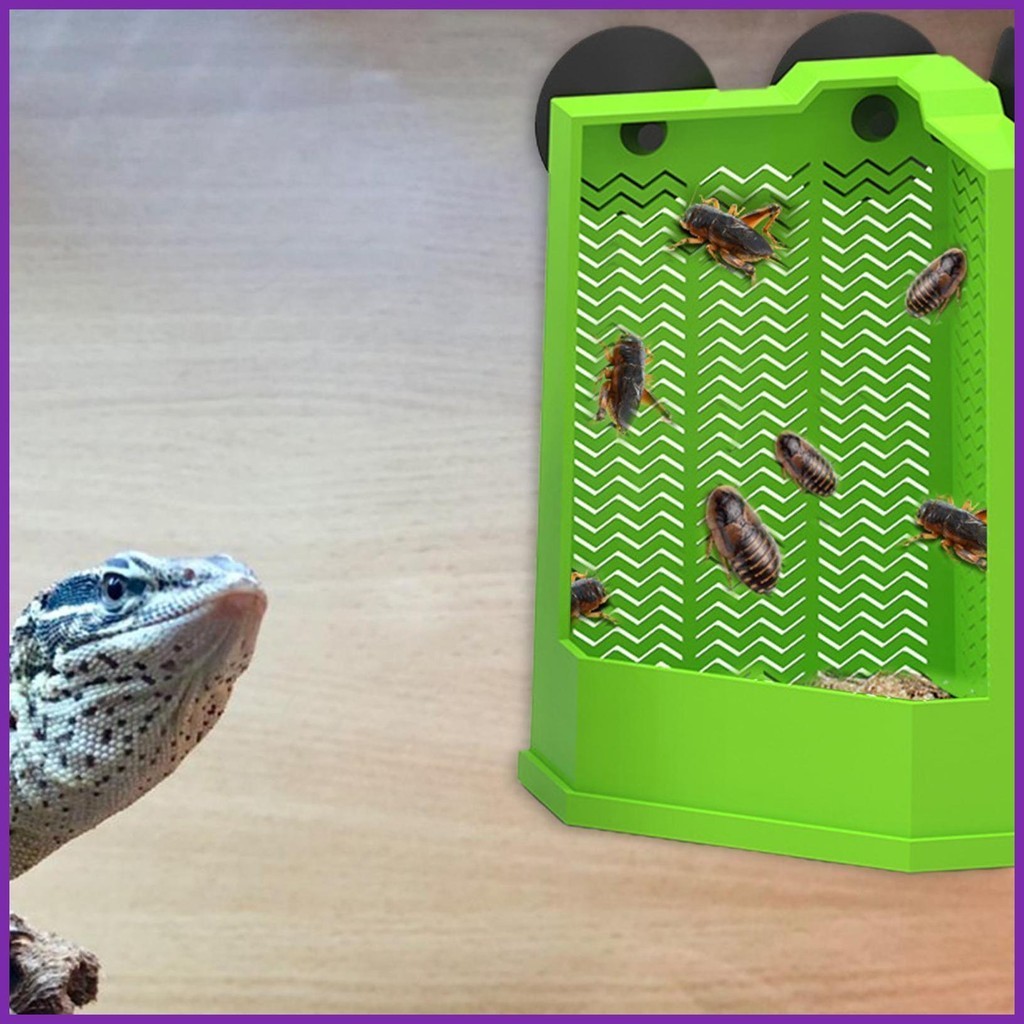 Reptile Food Bowl Reptile Dish Reptile Feeder Suction Cup Gecko Food ...
