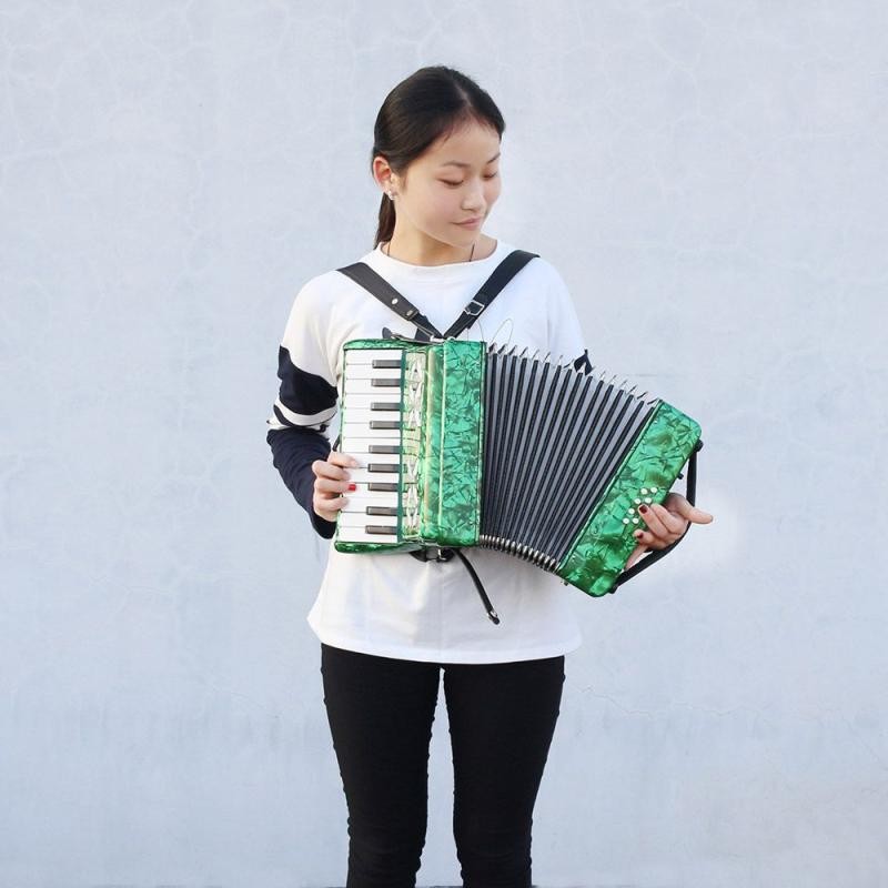 22键8贝司赛璐璐手风琴高颜值美观大方气质出众大气声音悦耳动听22 keys, 8 bass, Sailulu accordion, high ...