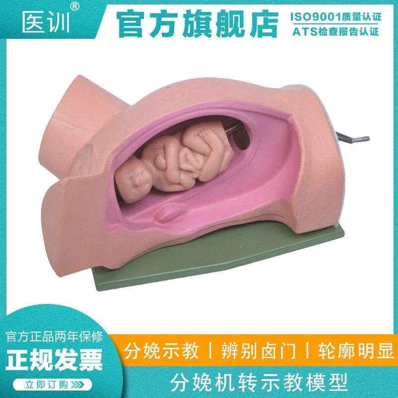 Medical Training YX/5-point Side Machine Transfer Teaching Model ...