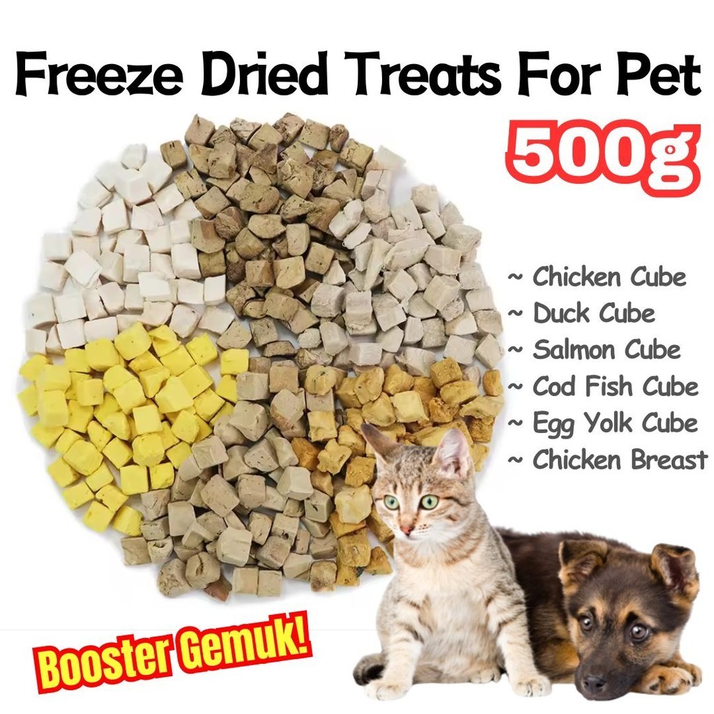(500g) Premium Pet Freeze Dried Booster Gemuk Kucing Snack Kucing / Dog & Cat Treats | Shopee ...