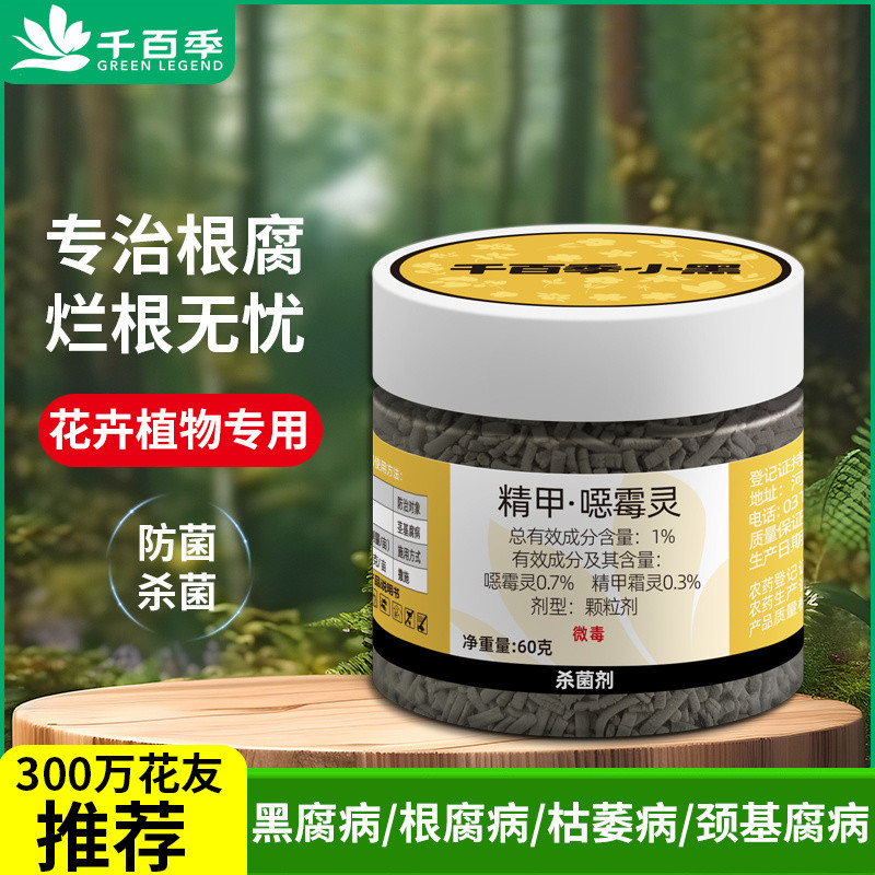 Spot # Qianbaiji pati hitam kecil, Jiashuangling, kulat jahat, racun ...