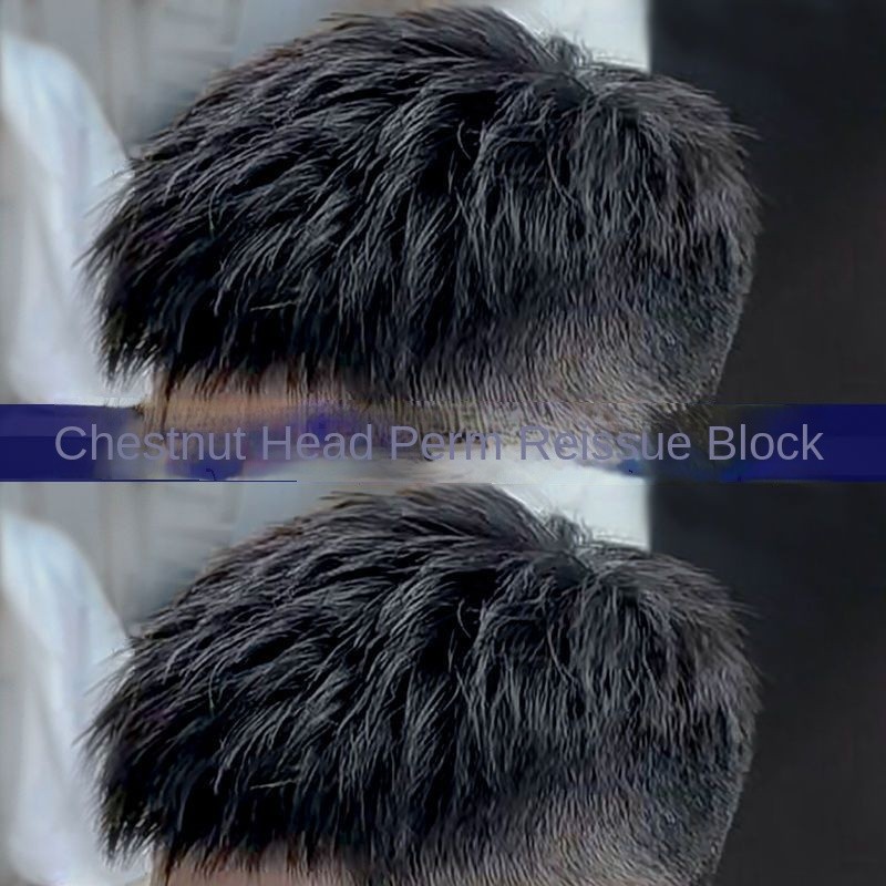 Wig Men Short Hair Full Real Hair Korean Version Chestnut Head Perm Men ...