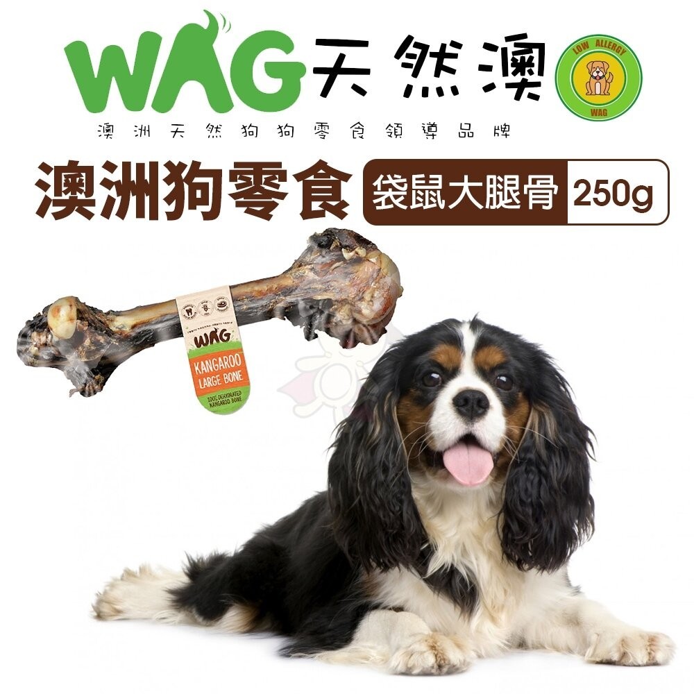 Australia WAG Natural Australian Kangaroo Thigh Bone |250g Clean Teeth ...