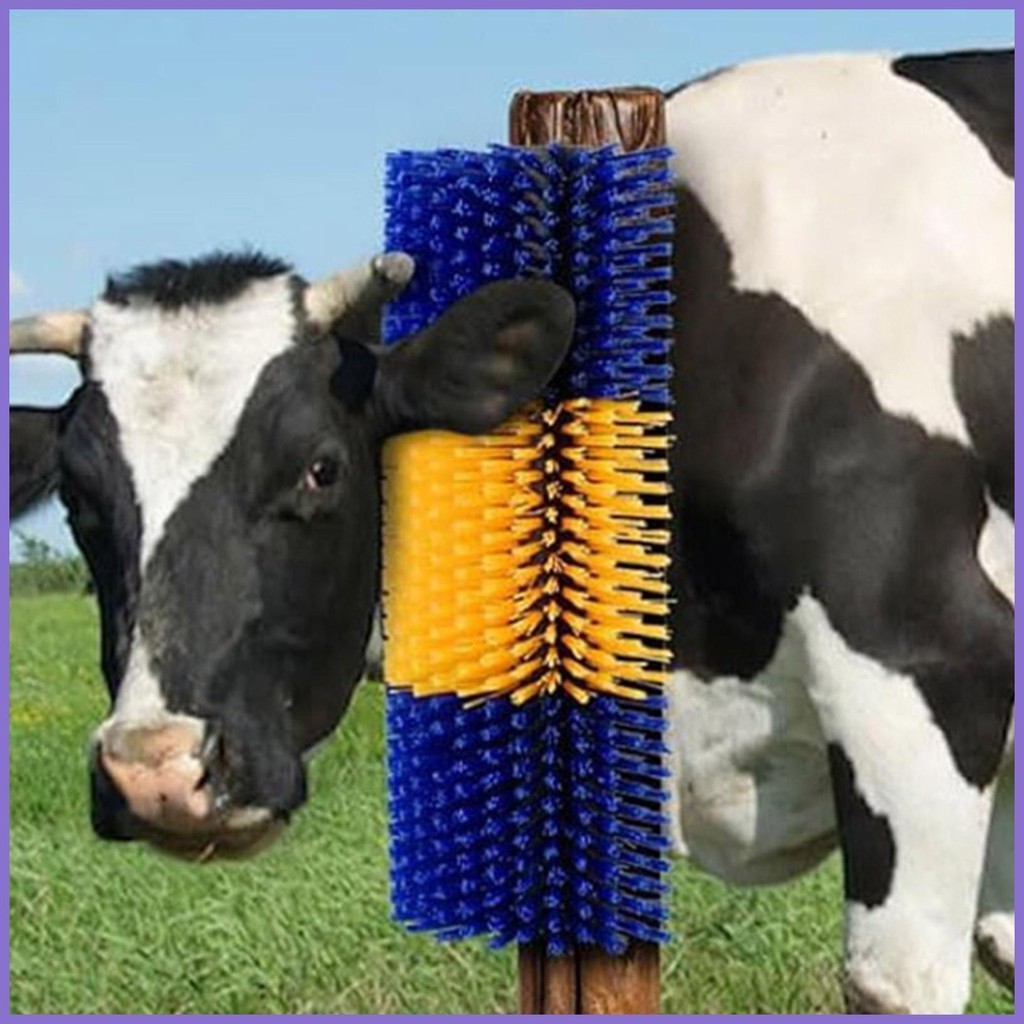 Livestock Grooming Brush Livestock Horse Body Grooming Brush Safe and ...