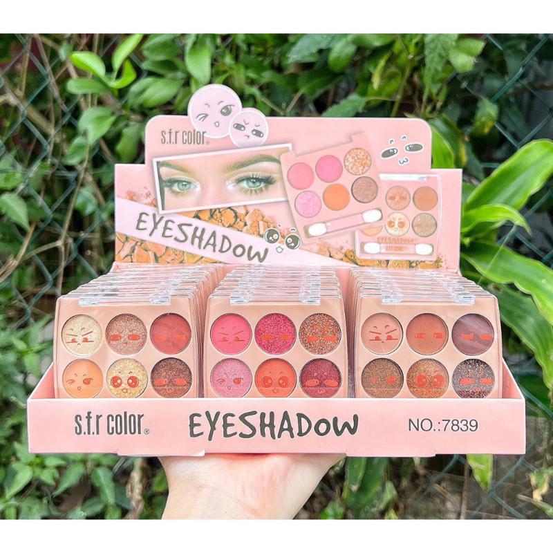 Sfr color eyeshadow palette 6 colors shade (1pc) | Shopee Malaysia