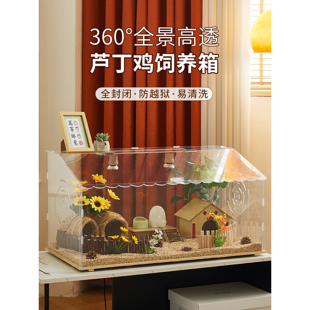 Luding Chicken Breeding Box Transparent Acrylic Incubator Hamster Cage ...