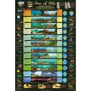 Hot Art Eras of Life Geological Time Scale Educational Science Chart ...