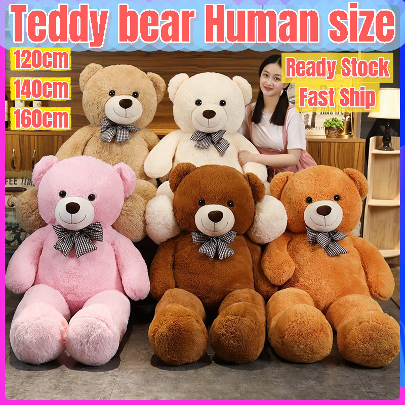 (Ready Stock) 120/140/160cm Pink teddy bear for girls teddy bear human ...