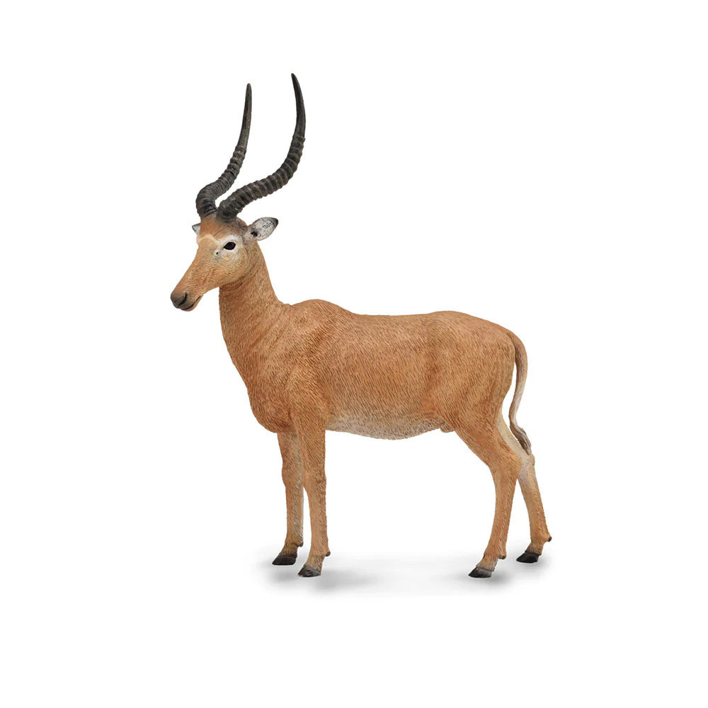 CollectA 88757 Hirola Antelope Figure Toy New | Shopee Malaysia