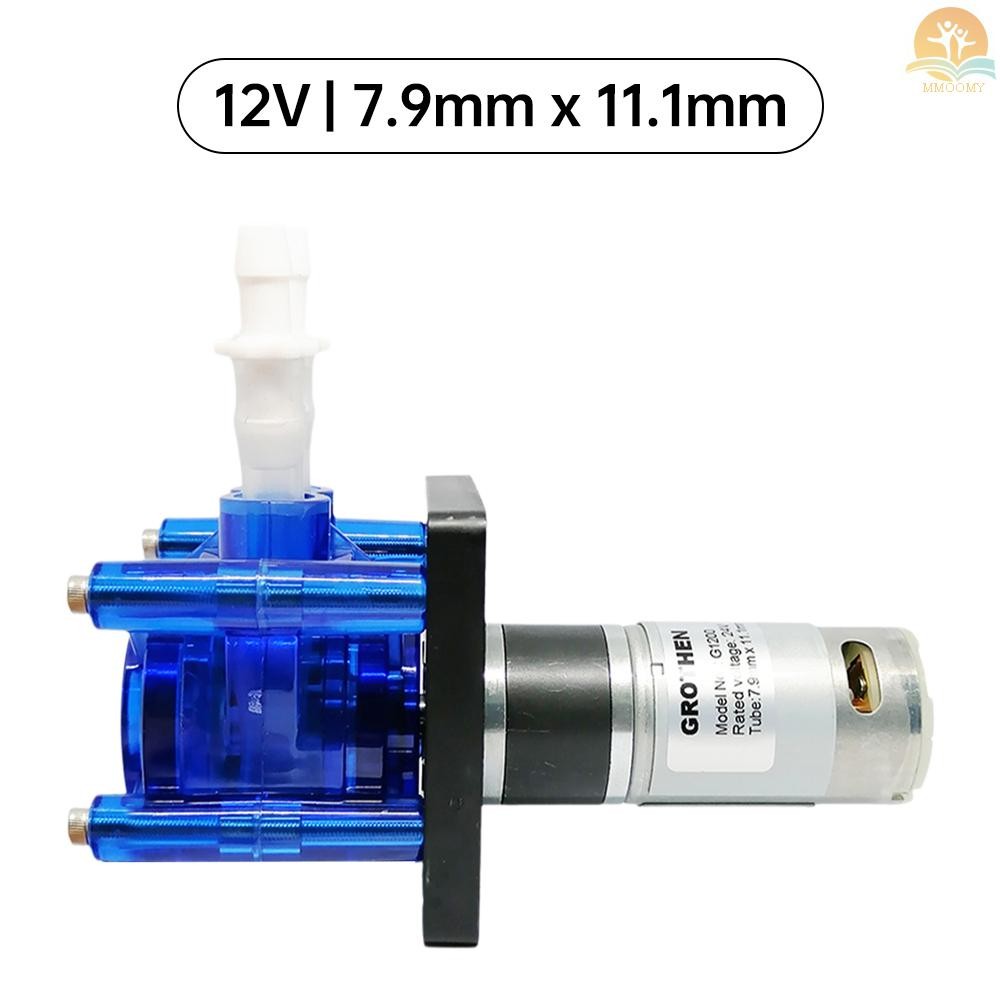 GROTHEN DC 12V Peristaltic Pump Large Flowrate Liquid Dosing Pump ...