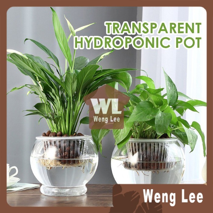 Pasu Bunga Siram Sendiri / Transparent Hydroponic Pot Self Watering ...