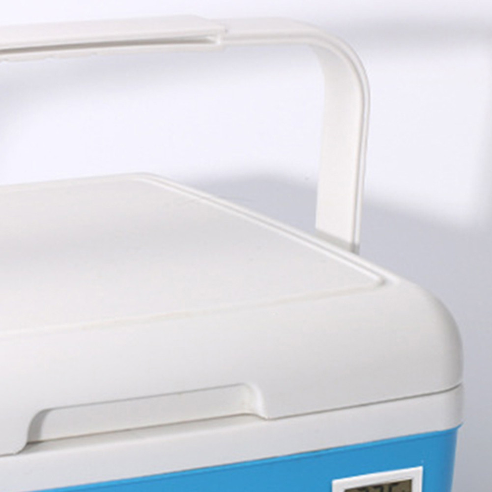 8L Cooler Box Portable Fresh-Keeping Incubator Mini Fridge Camping BBQ ...