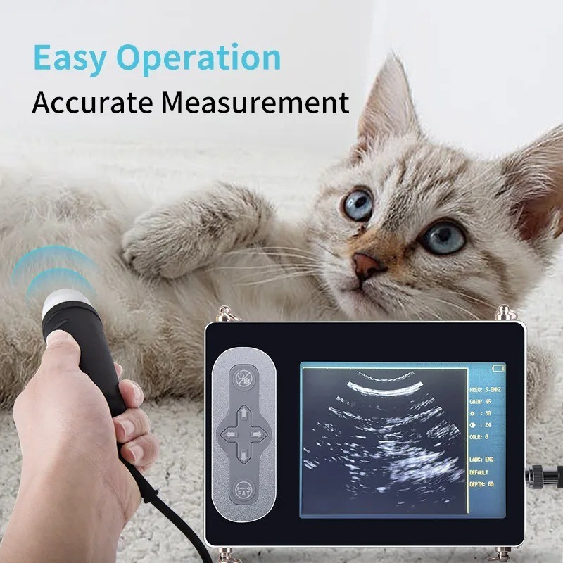 Portable Veterinary Ultrasound Scanner For Cat Cattle Cow Pig Dog Horse ...