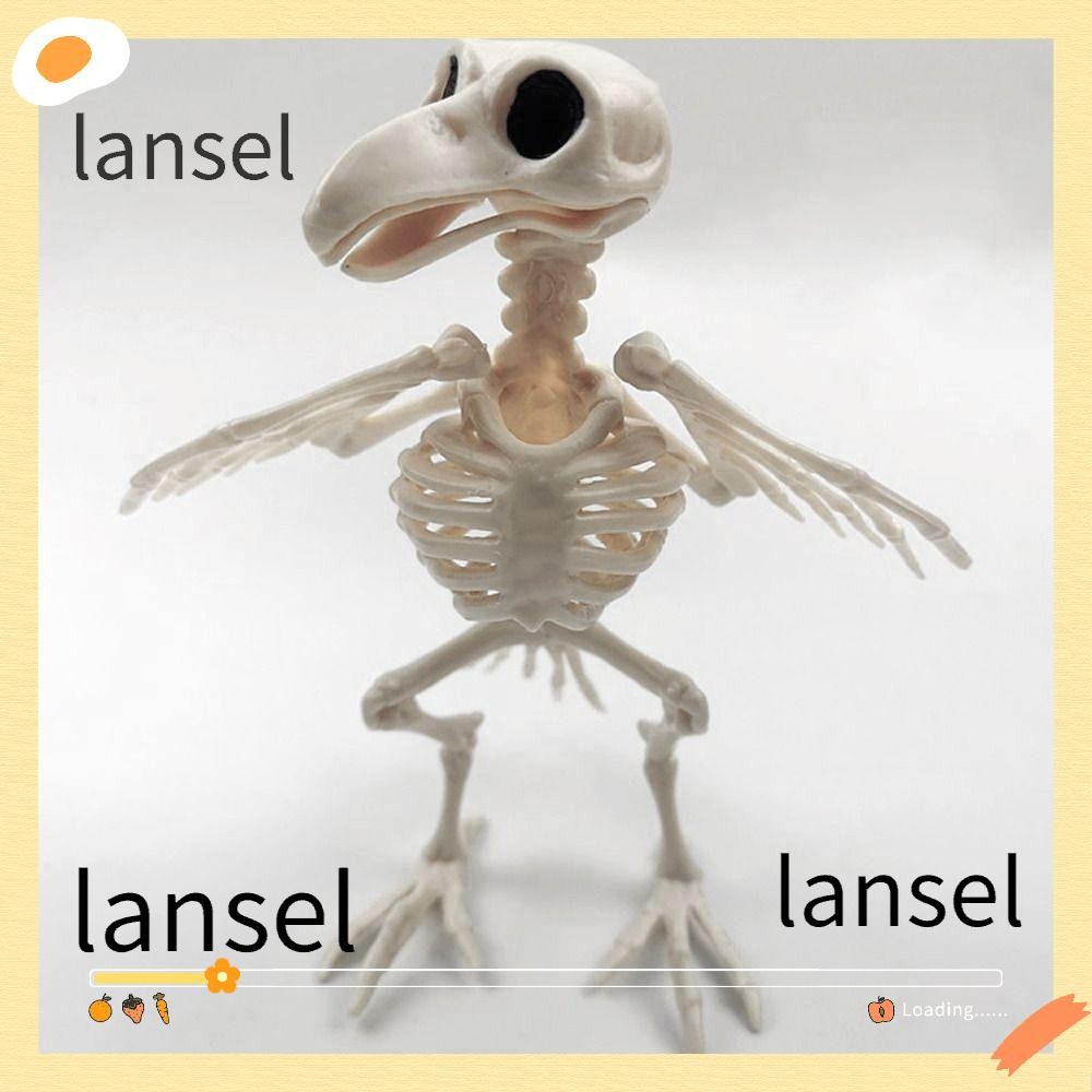 LA Crow Skeleton Halloween Prop Plastic Animal Skeleton Bones | Shopee ...