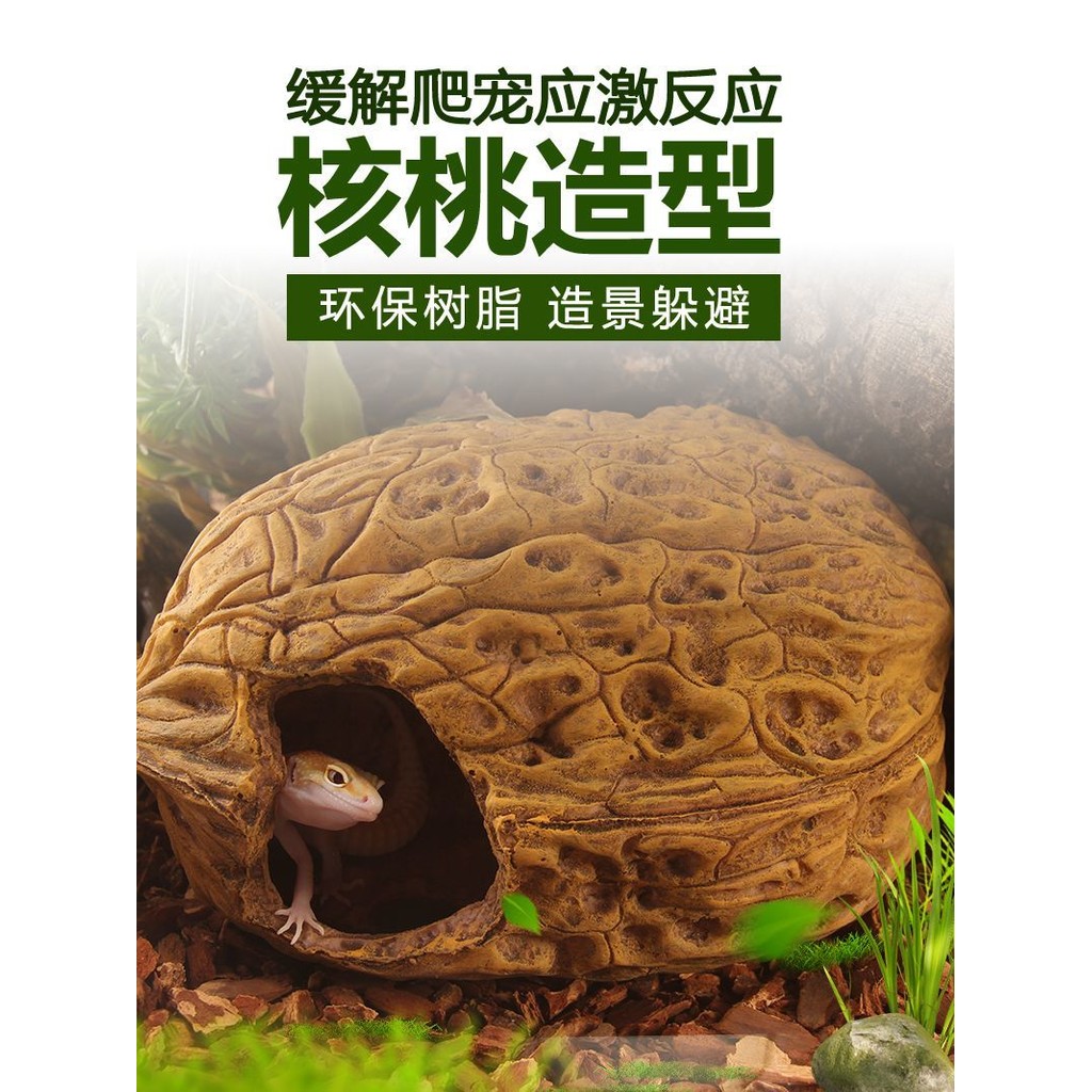 Climbing Pet Hide Hole Hide Hole Resin Walnut Shape Climbing Box Gecko ...