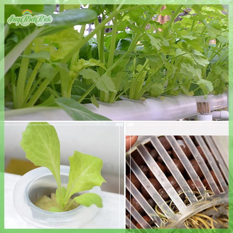 ERHK> 100Pcs Basket Garden Vegetable Soilless Grow Net Pot Aeroponics ...