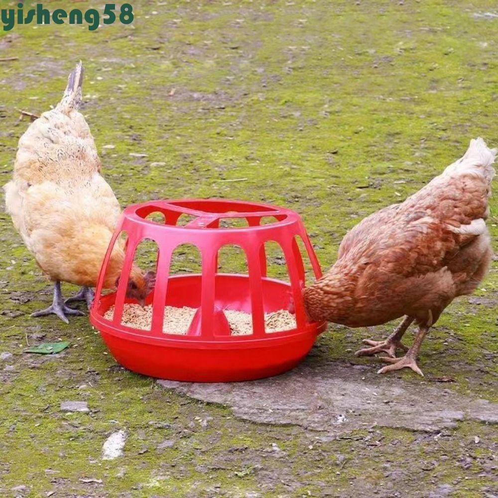 YISHENG Chick Feeding Bucket, Detachable Plastic Chicken Feeding Trough ...