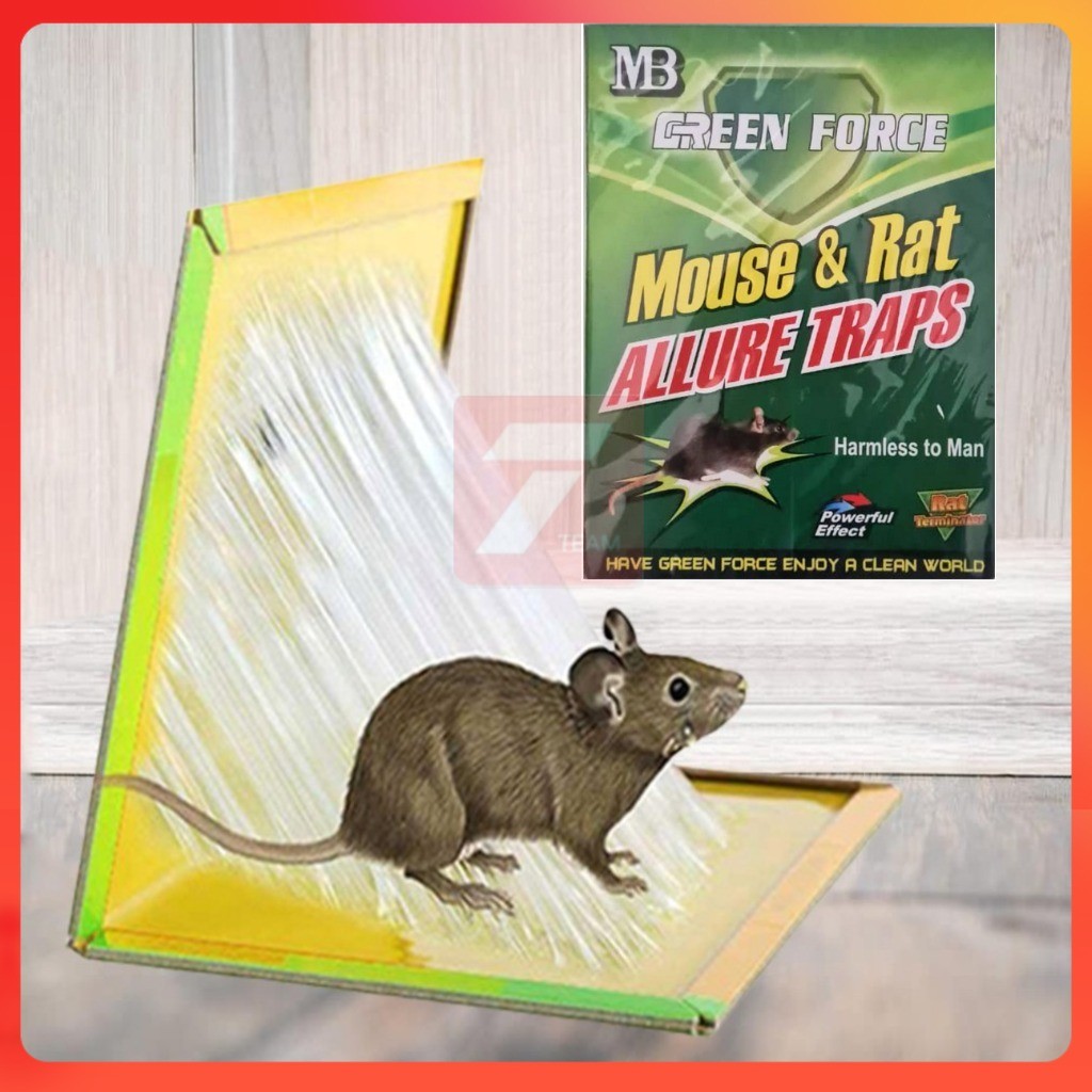 MB Mouse Trap Snake Bugs Rat Mice Catcher Board Foldable Pest Control ...
