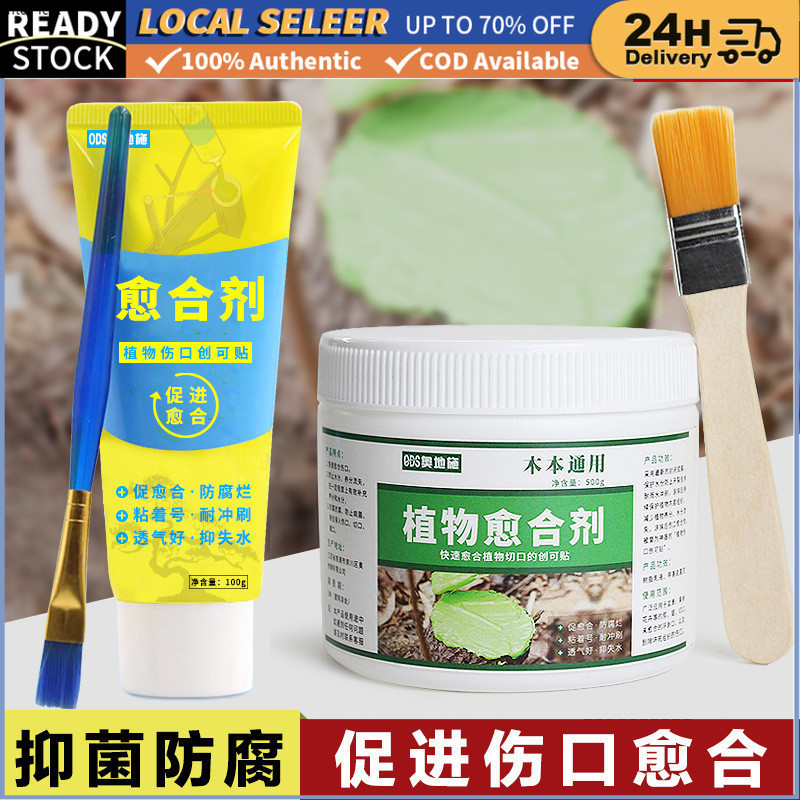 100/500g Tree Wound paste Big Tree Bonsai Paste & Grafting Plants Smear ...