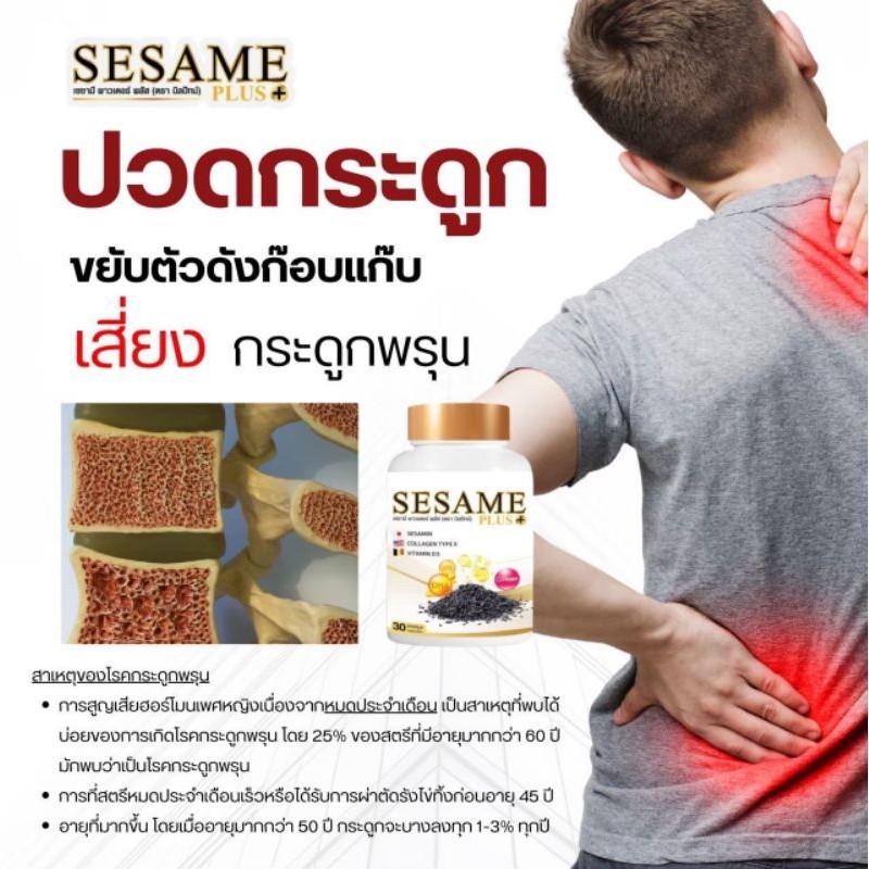SESAME PLUS Dietary Supplement Extract Increase Bone Mass Prevent ...