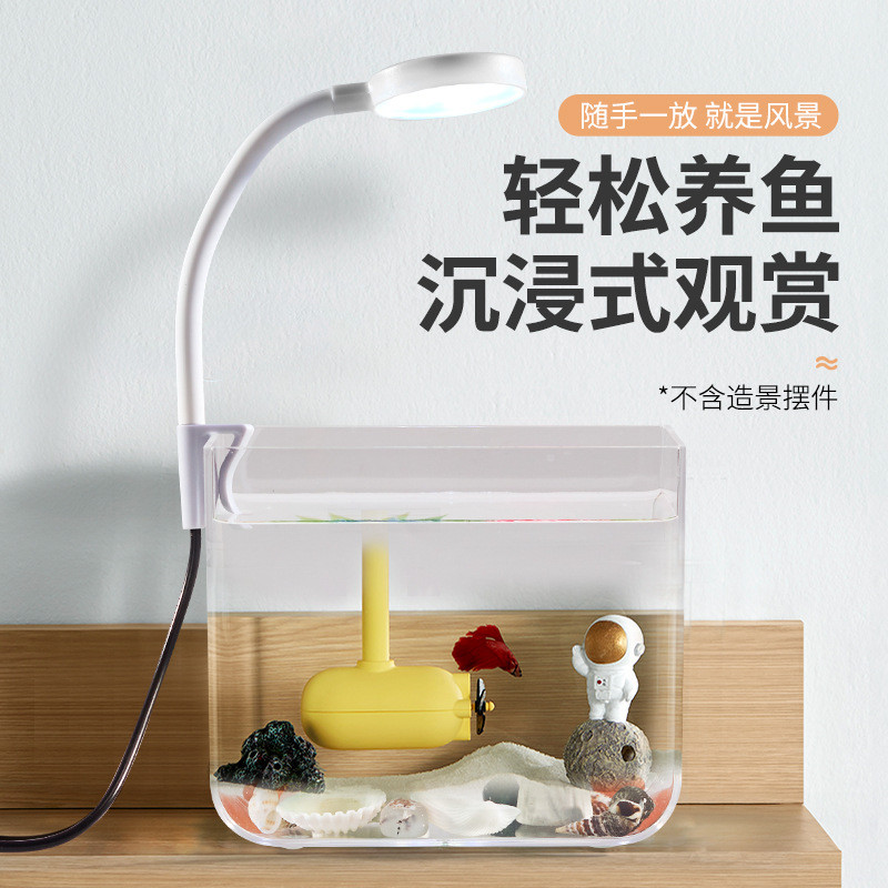 DIY Aquarium Desktop Fish Tank，Betta fish Mini Aquarium Fighting ...