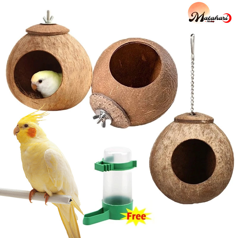Natural Coconut shell Bird Nest Wooden Bird house for Cockatiel Love ...