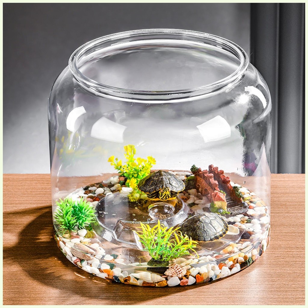 Water Turtle Tank Multifunctional Turtle Tank with Lid Turtle Aquarium ...