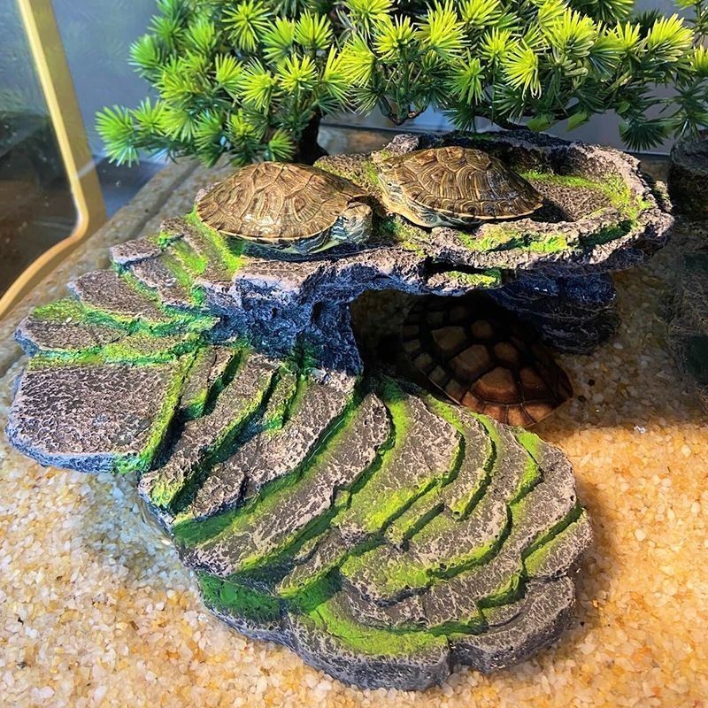 New Products Ready Stock turtle drying platform climbing platform ...