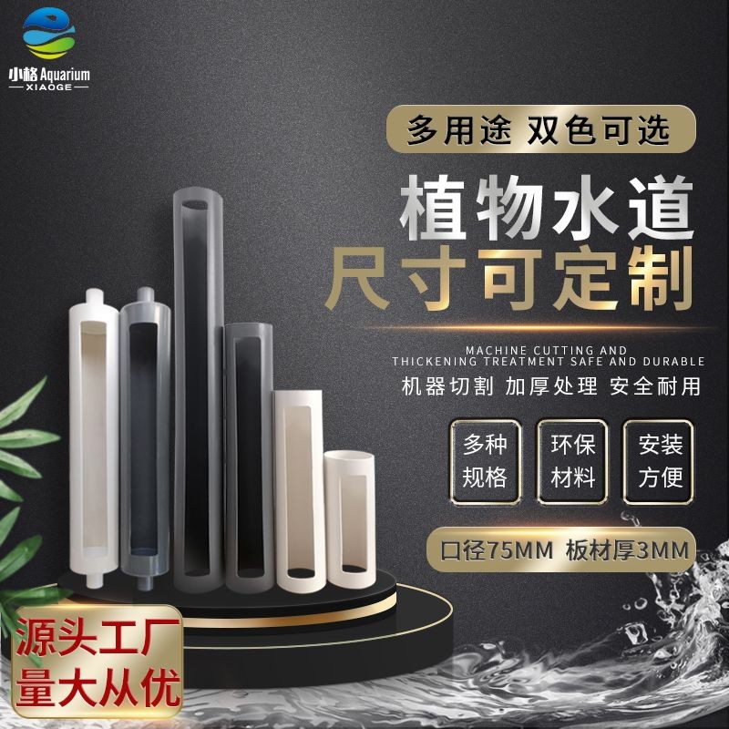 P Plant Waterway Fish Plant Symbiosis Ecological Swamp Integrated Drip ...