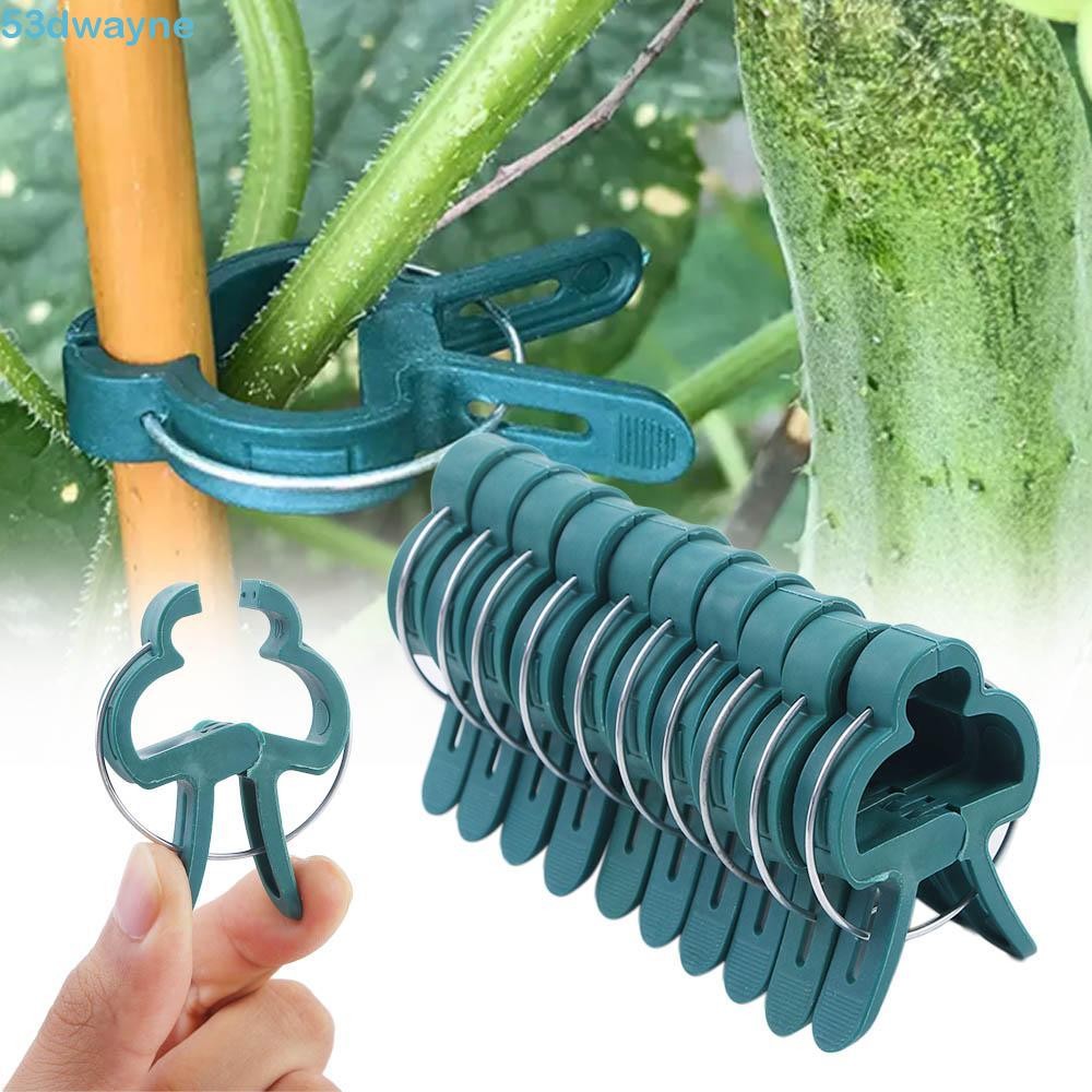 DWAYNE Plant Fixed Clamp Tied Plastic Stem Fastener Vine Support Stakes ...