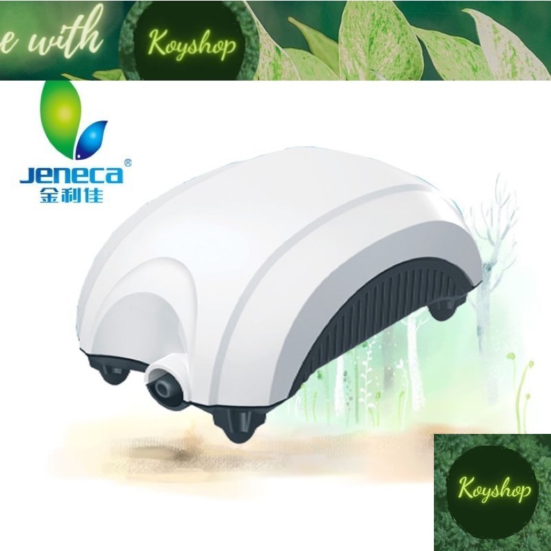 Mini Oxygen Effervescent | Jeneca AP 1688 1 Faucet - 2 Nozzles For ...