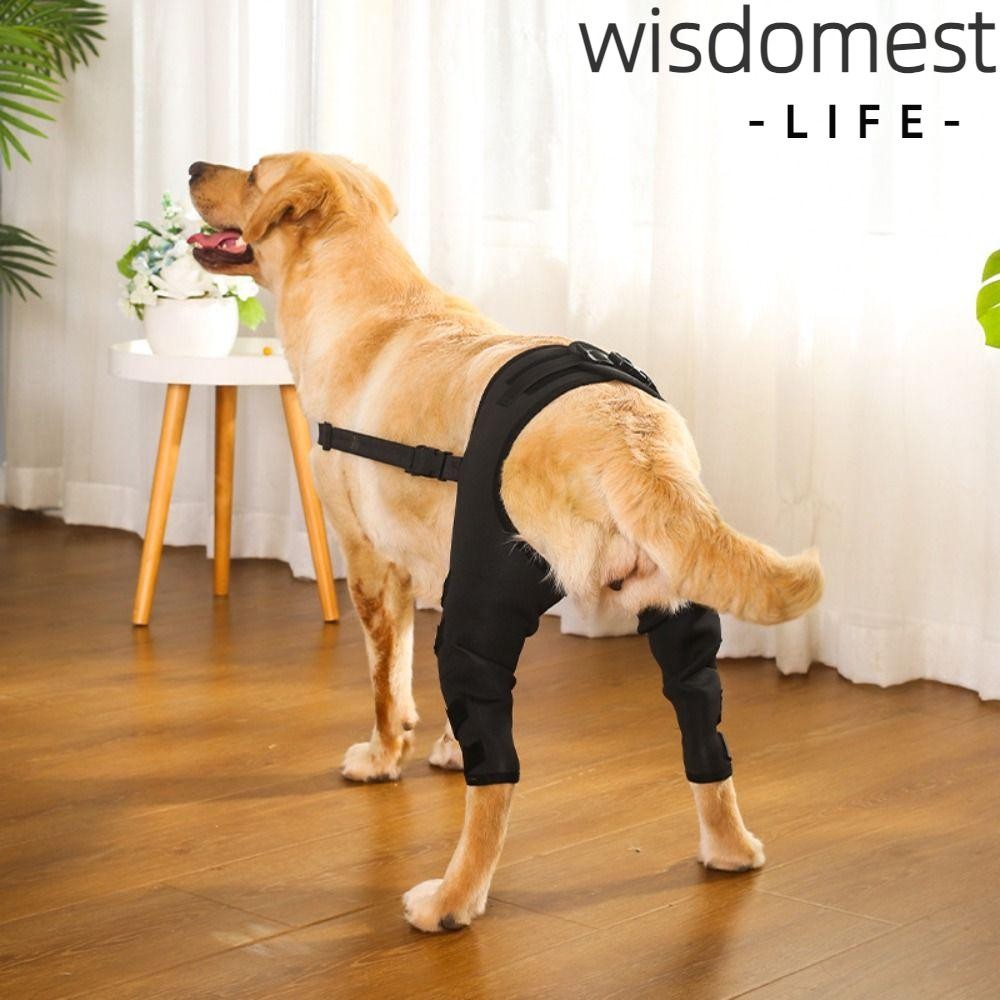 WISDOMEST1 Pet Knee Pad, Joint Injury Recovery Knee Hip Joint Protect ...