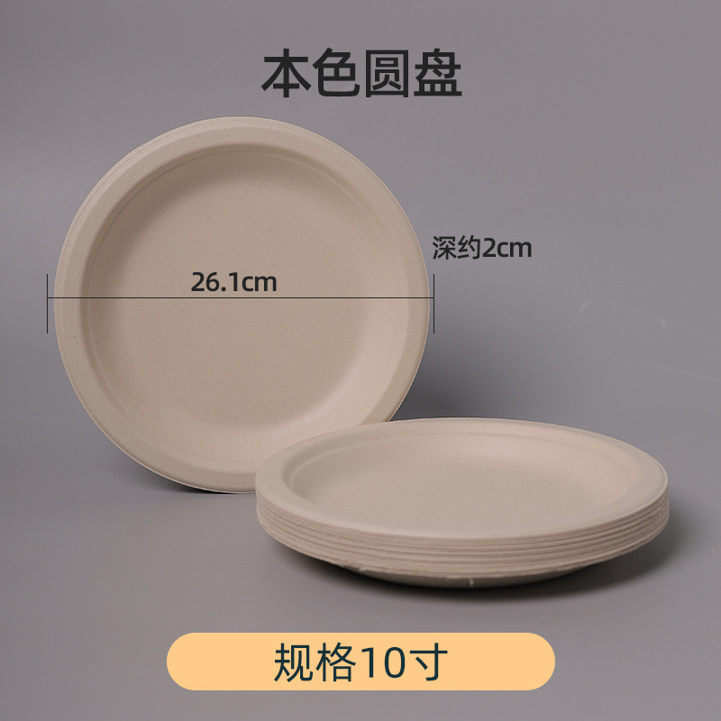 Disposable Sugarcane Pulp Paper Pallet Plate Barbecue Cake Kindergarten ...