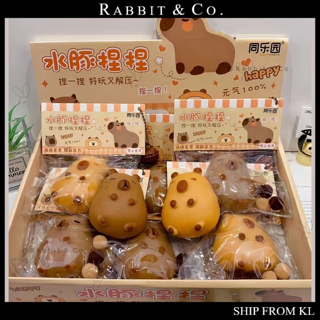 R&C Mini Capybara Mochi Toy Stress Relief Capybara Slow Rebound Toy ...