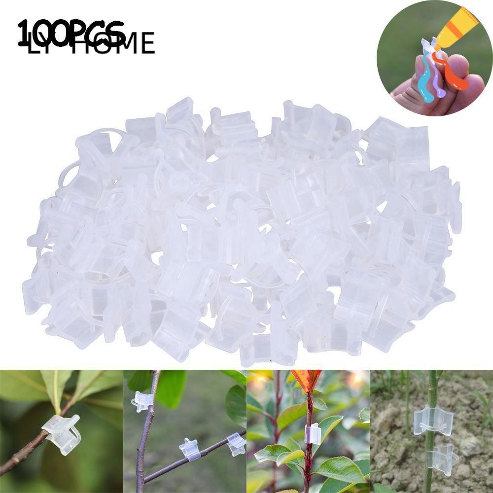 LY-HOME 100PCS Seeding Grafting Clip, Plastic Grafting Tools Plant ...