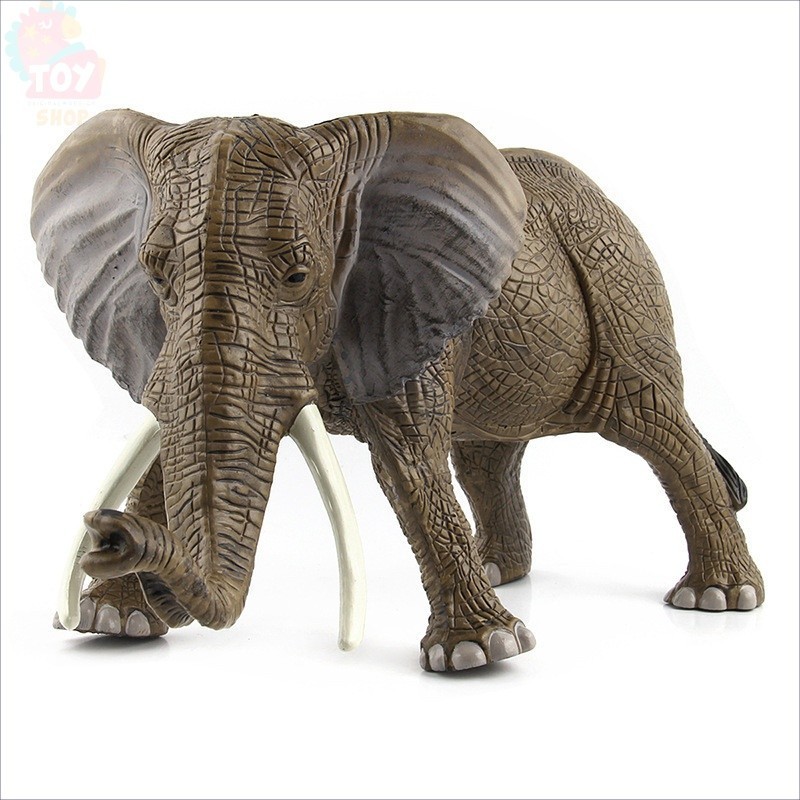 Children Science Education Cognitive Toys Simulation African Male ...
