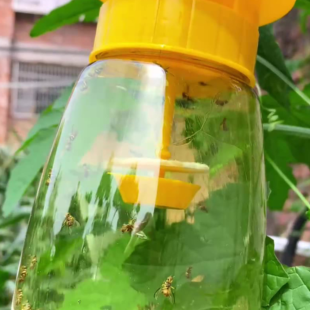 Fruit Fly Trap Killer Drosophila Trap with Hanging Hole for Outdoor ...