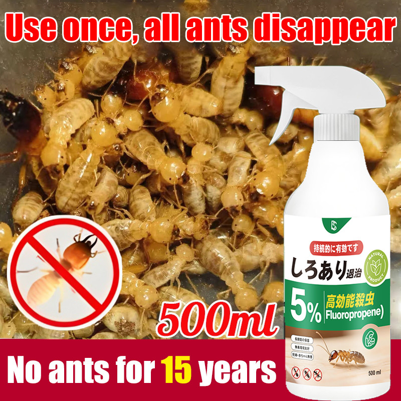 🐜1 spray kills all termites🐜Termite killer Anai killer spray termite ...