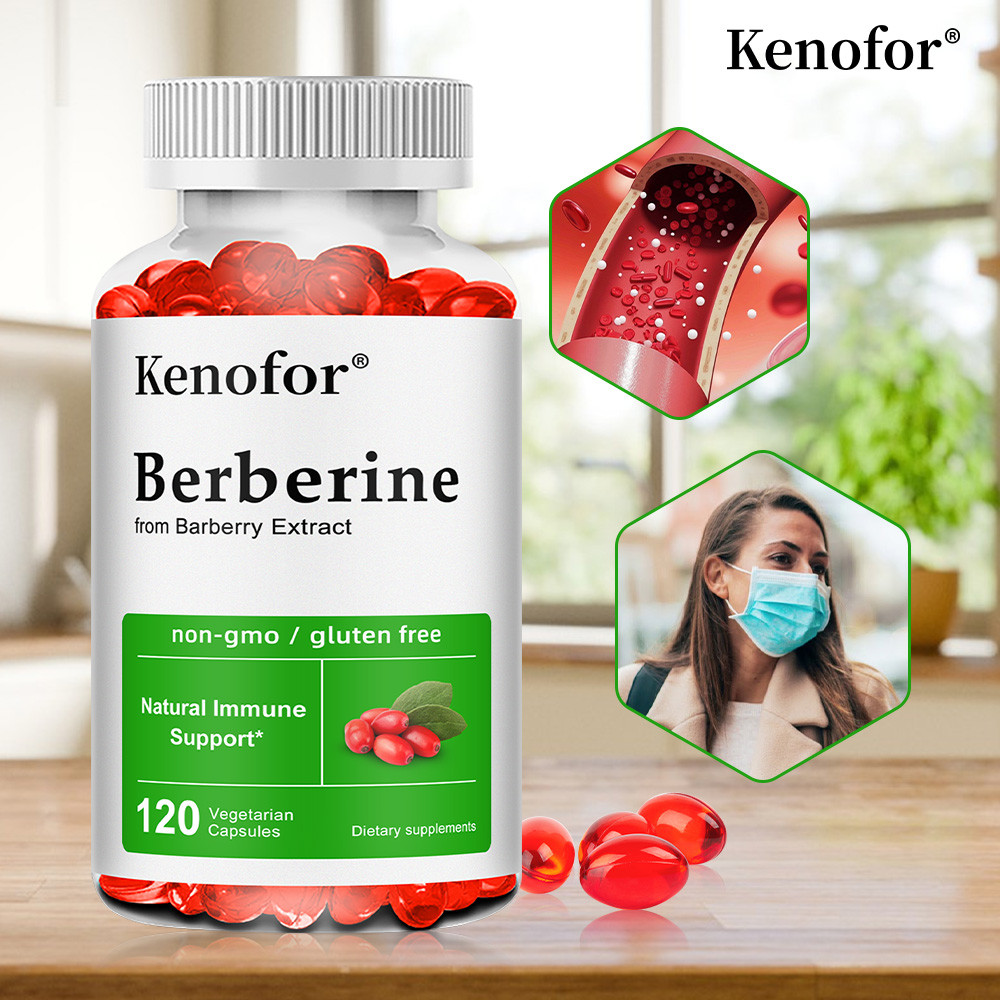 Kenofor Berberine Supplement - Supporting New Chen Dai, Supporting Digestive Health, Supporting ...