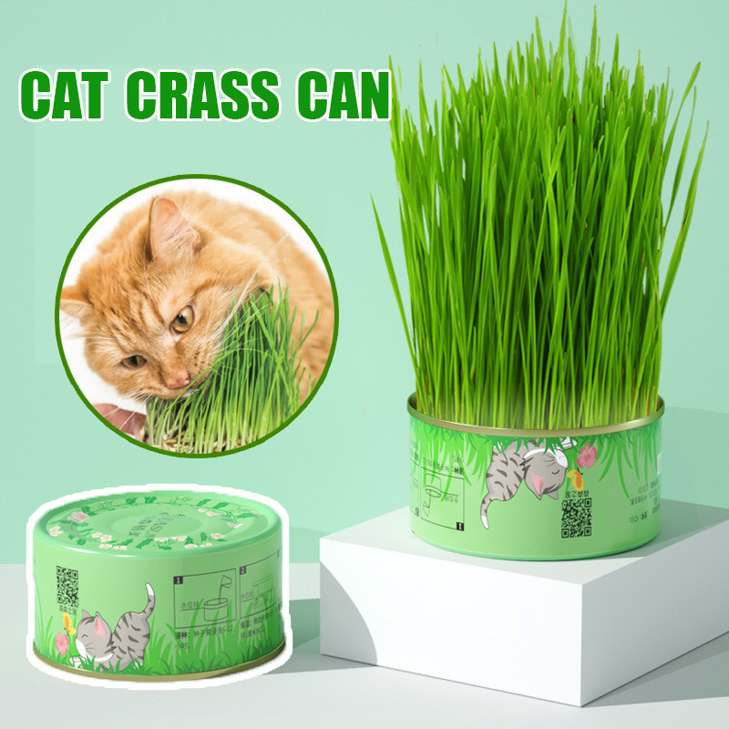 Quality Fresh Cat Grass Sprout Soilless Hydroponic Can Natural Healthy Cat Food Hairball ...