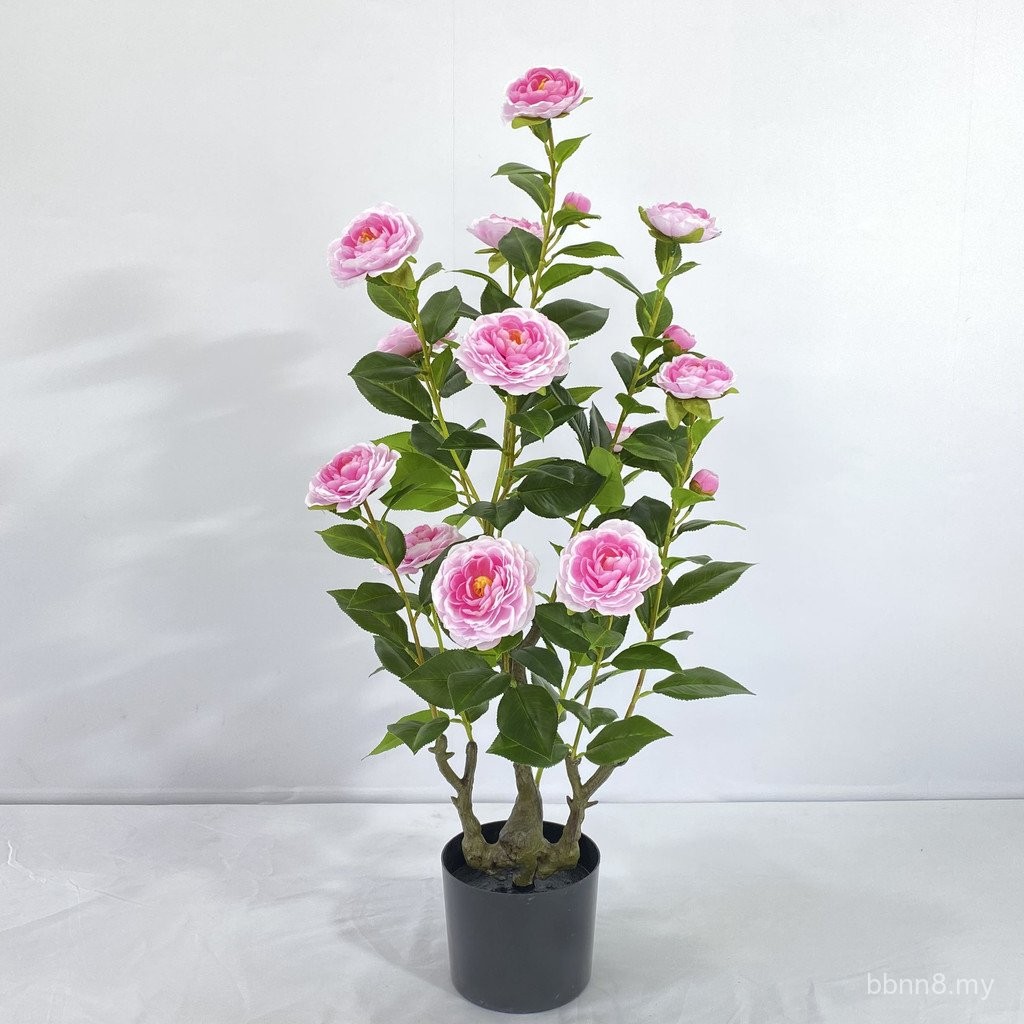 Simulasi pokok camellia, bonsai bunga, alat peraga majlis perkahwinan ...