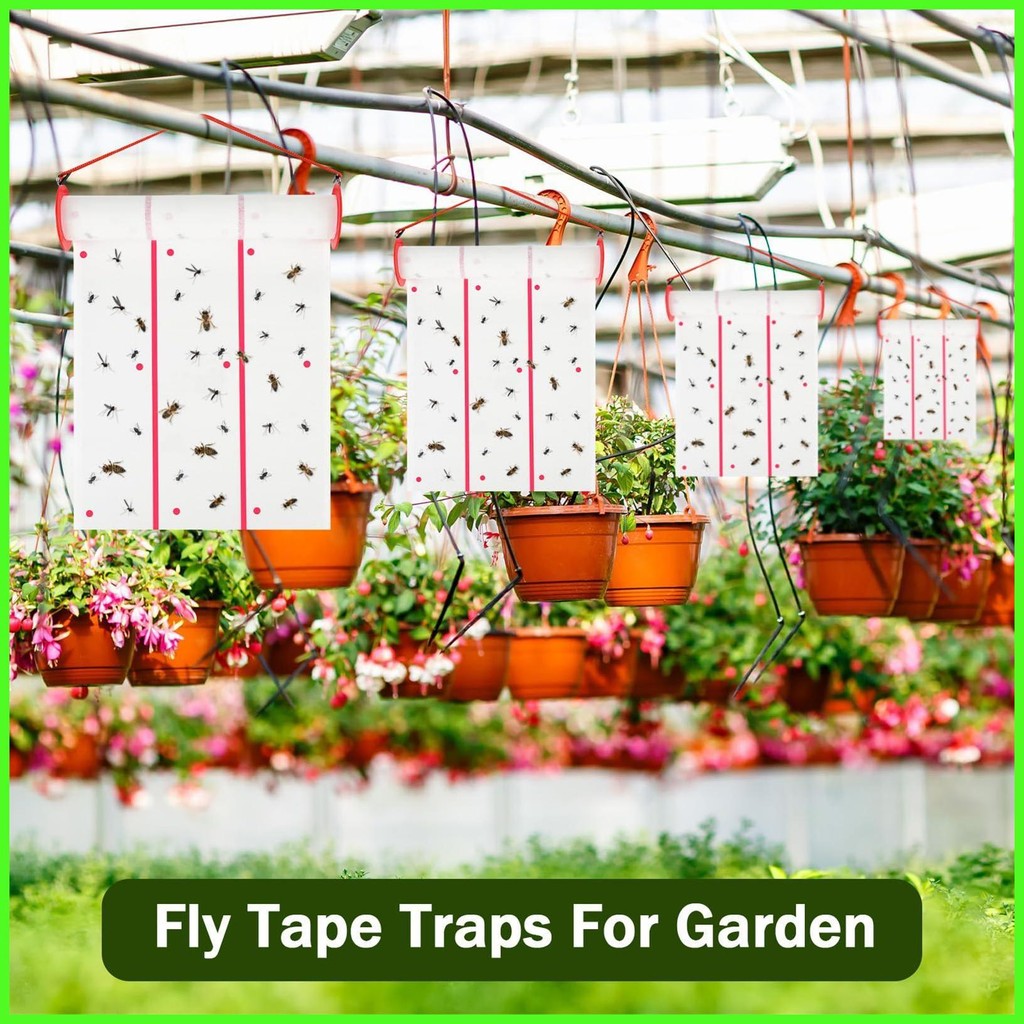 Fly Tape Trap Safe Fly Traps Fly Catcher Strong Adhesion Large ...