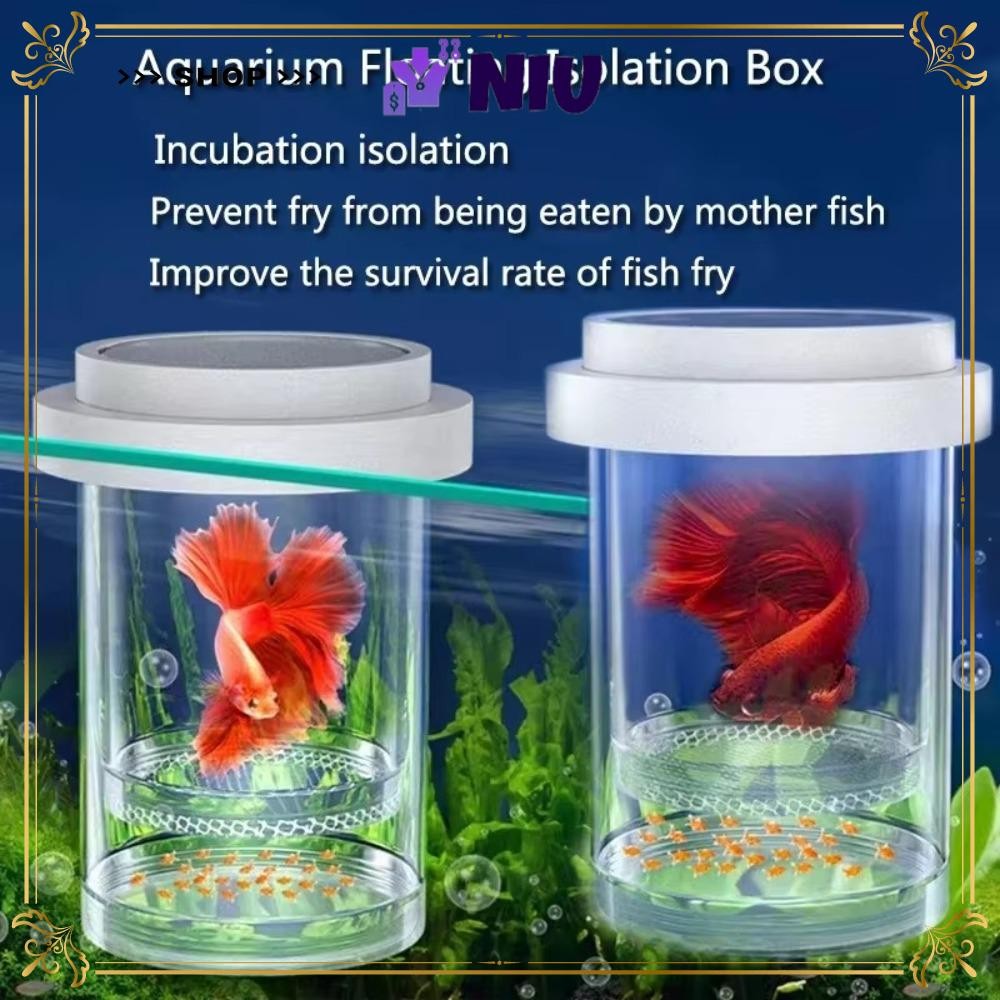 NIU Floating Hatching Box, Plastic Mesh Aquarium Breeder Floating Fish ...