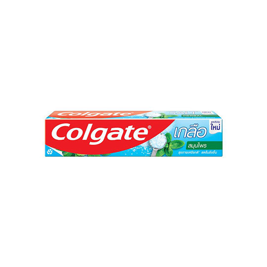 COLGATE HERBAL SALT TOOTHPASTE 75g | Shopee Malaysia